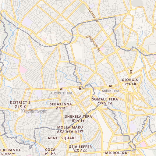 Dagmawi Menelik II Secondary School Community, Addis Ababa (2025)